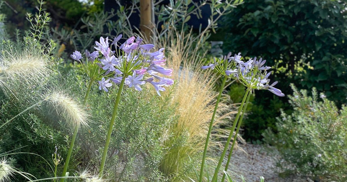 WORKS（施工事例）「パスタ＆甘味 凛じろう」に最新画像追加 | Dear Garden